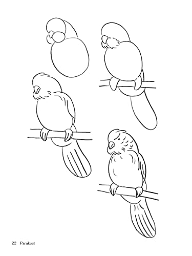 How To Draw Pets: Step-by-Step Drawings! (Dover How To Draw) - Aadhu.com